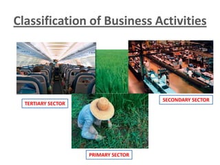 Business structure | PPTX