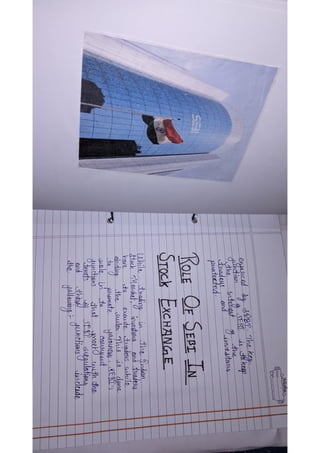 Business Studies Class 12 Project On Stock Exchange.pdf