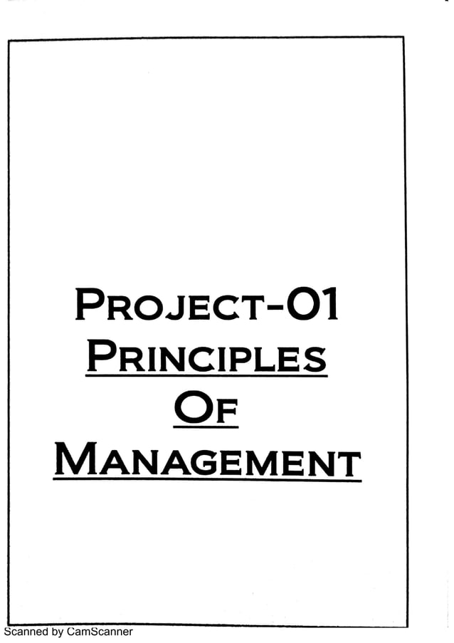 Business studies Class 12 Project | PDF | Business Administration ...