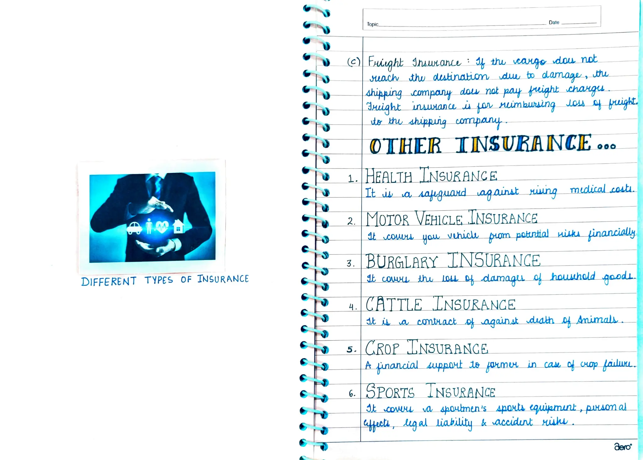 CLASS 11 CBSE B.St Project AIDS TO TRADE - INSURANCE | PDF