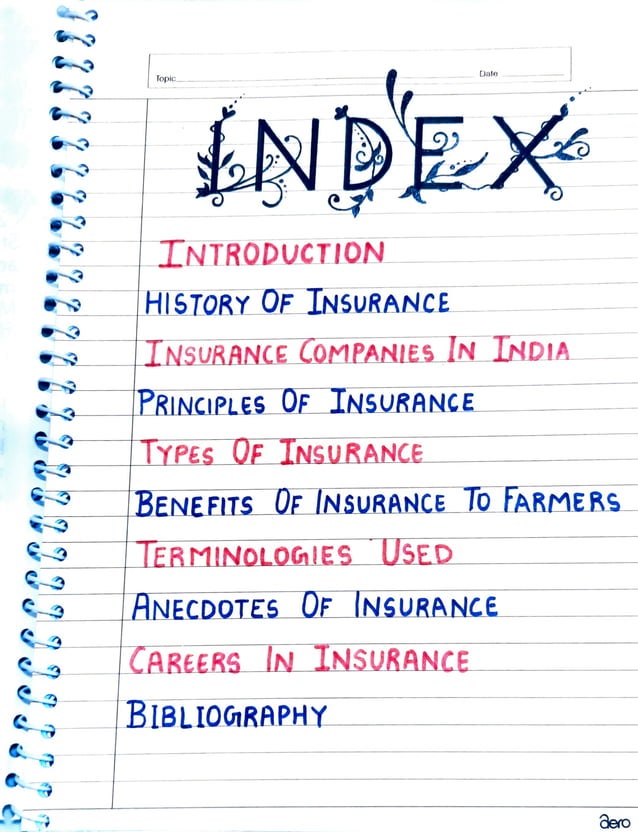 CLASS 11 CBSE B.St Project AIDS TO TRADE - INSURANCE | PDF
