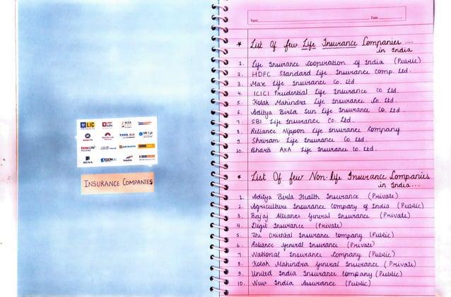 CLASS 11 CBSE B.St Project AIDS TO TRADE - INSURANCE | PDF