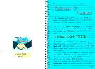 CLASS 11 CBSE B.St Project AIDS TO TRADE - INSURANCE | PDF