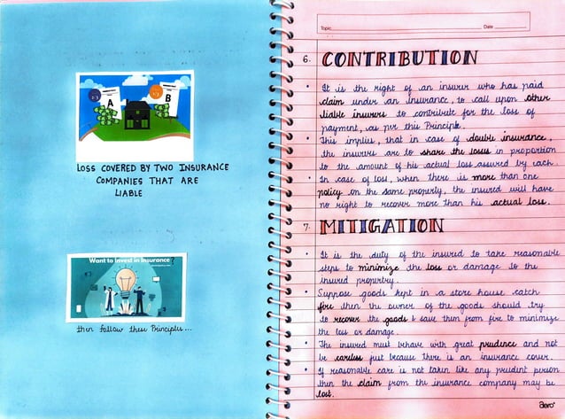 CLASS 11 CBSE B.St Project AIDS TO TRADE - INSURANCE | PDF