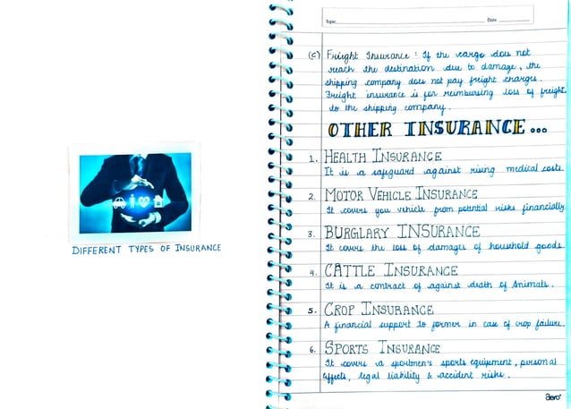 CLASS 11 CBSE B.St Project AIDS TO TRADE - INSURANCE | PDF