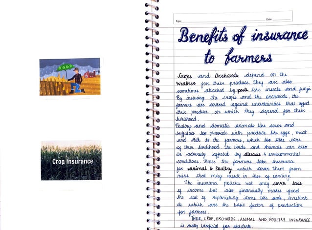 CLASS 11 CBSE B.St Project AIDS TO TRADE - INSURANCE | PDF