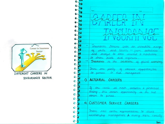 CLASS 11 CBSE B.St Project AIDS TO TRADE - INSURANCE | PDF