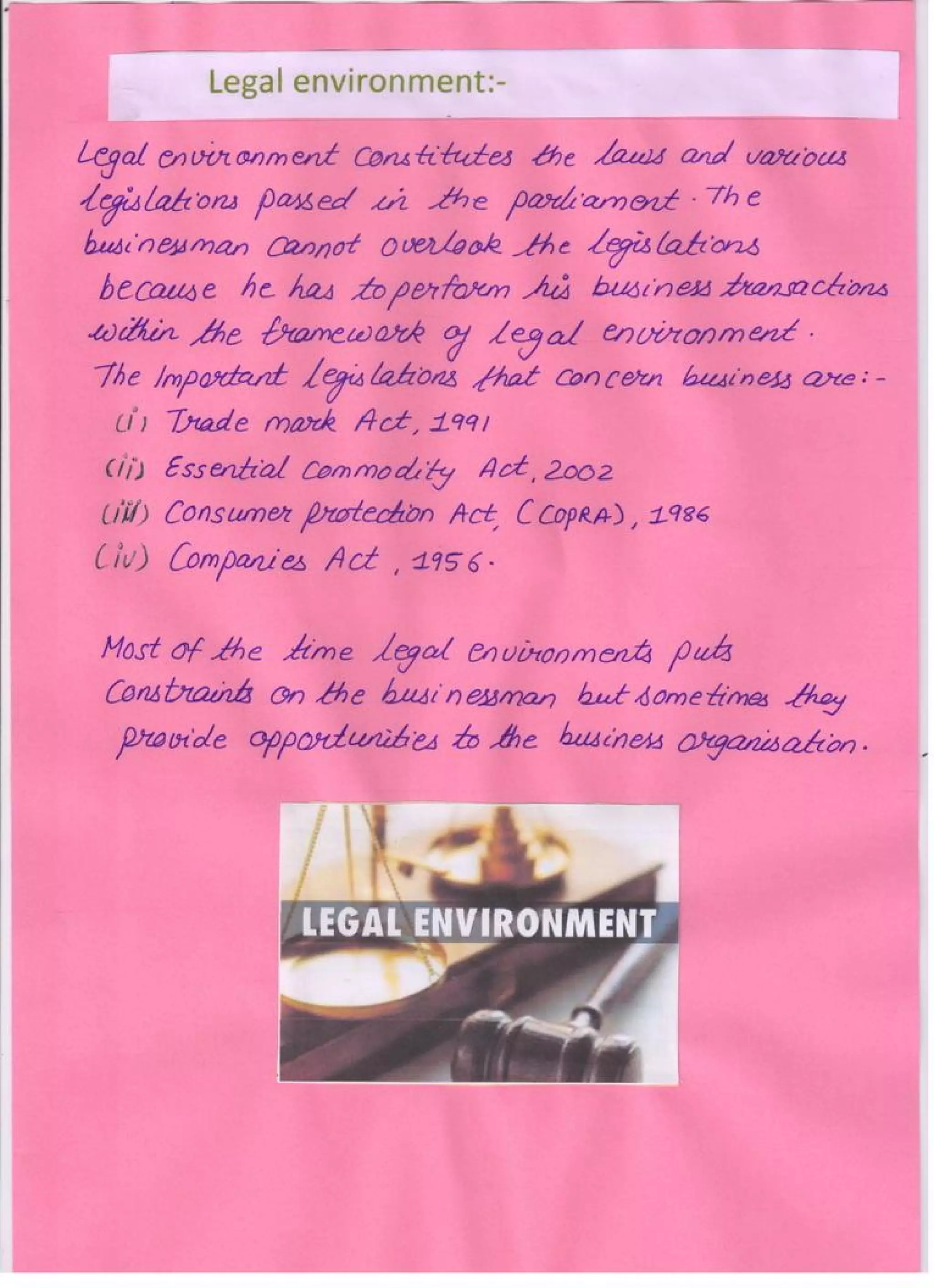 Business Environment project class 12 cbse | PDF