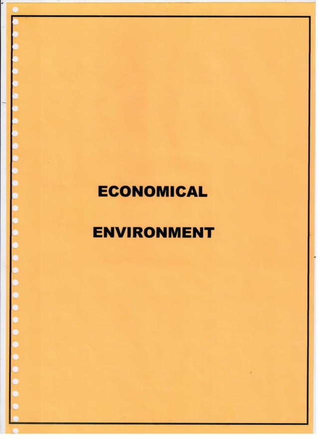 Business Environment project class 12 cbse | PDF