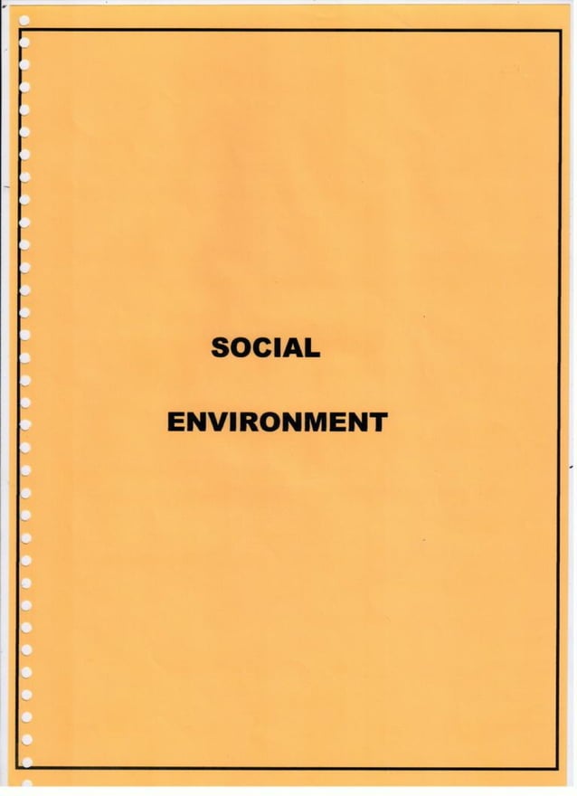 Business Environment project class 12 cbse | PDF