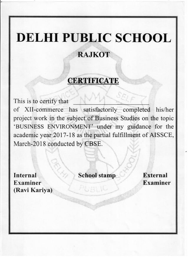 Business Environment project class 12 cbse | PDF