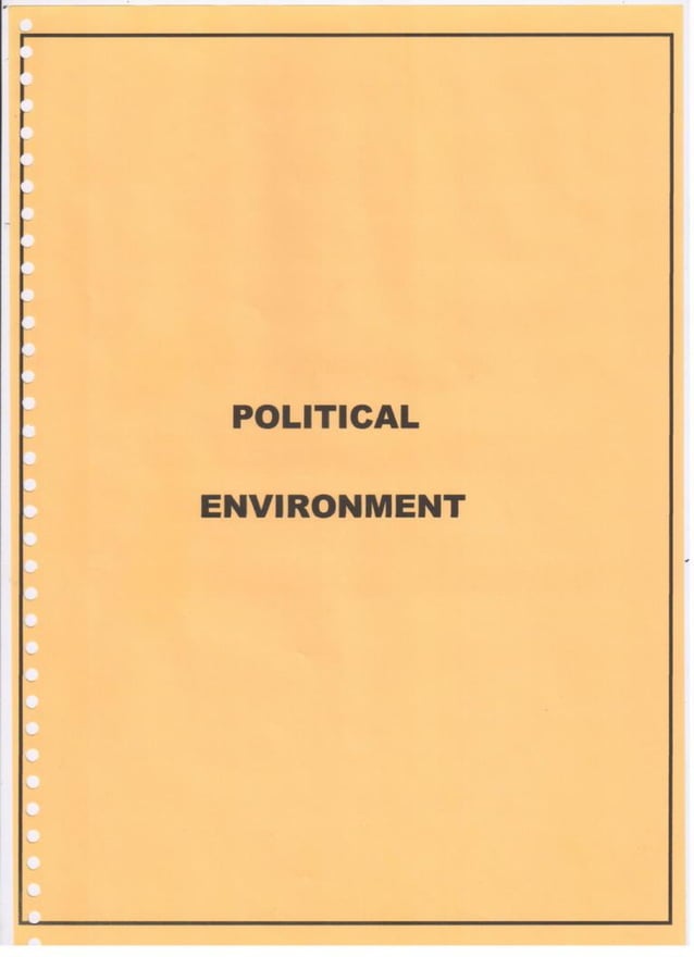 Business Environment project class 12 cbse | PDF