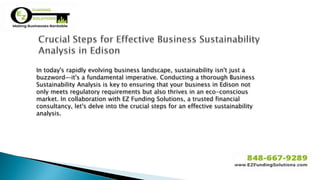 Business sustainability analysis Edison.pptx