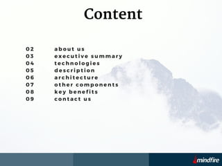 Business Technology Solution | PPT