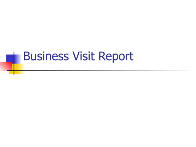 Business Visit Report | PPT