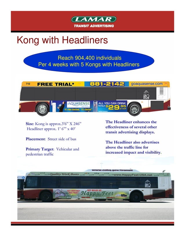 Bus Information | PDF
