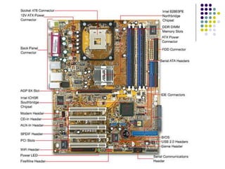 Bus & Interface | PPTX