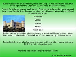 Buskett Trees | PPT