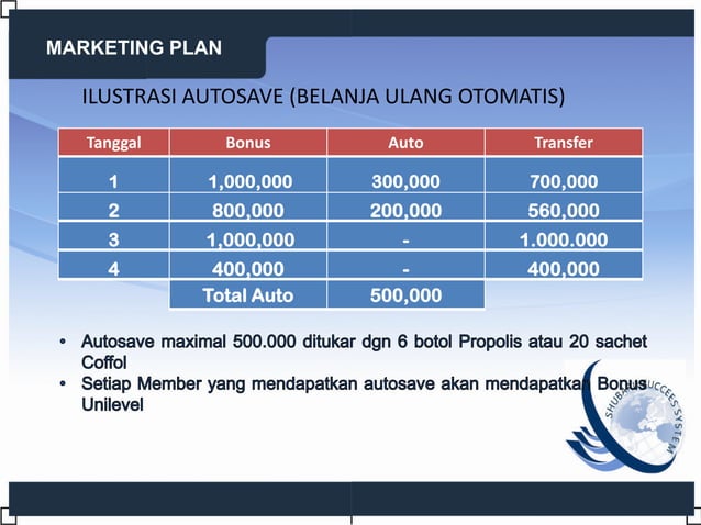 Bussines plan-web | PPT