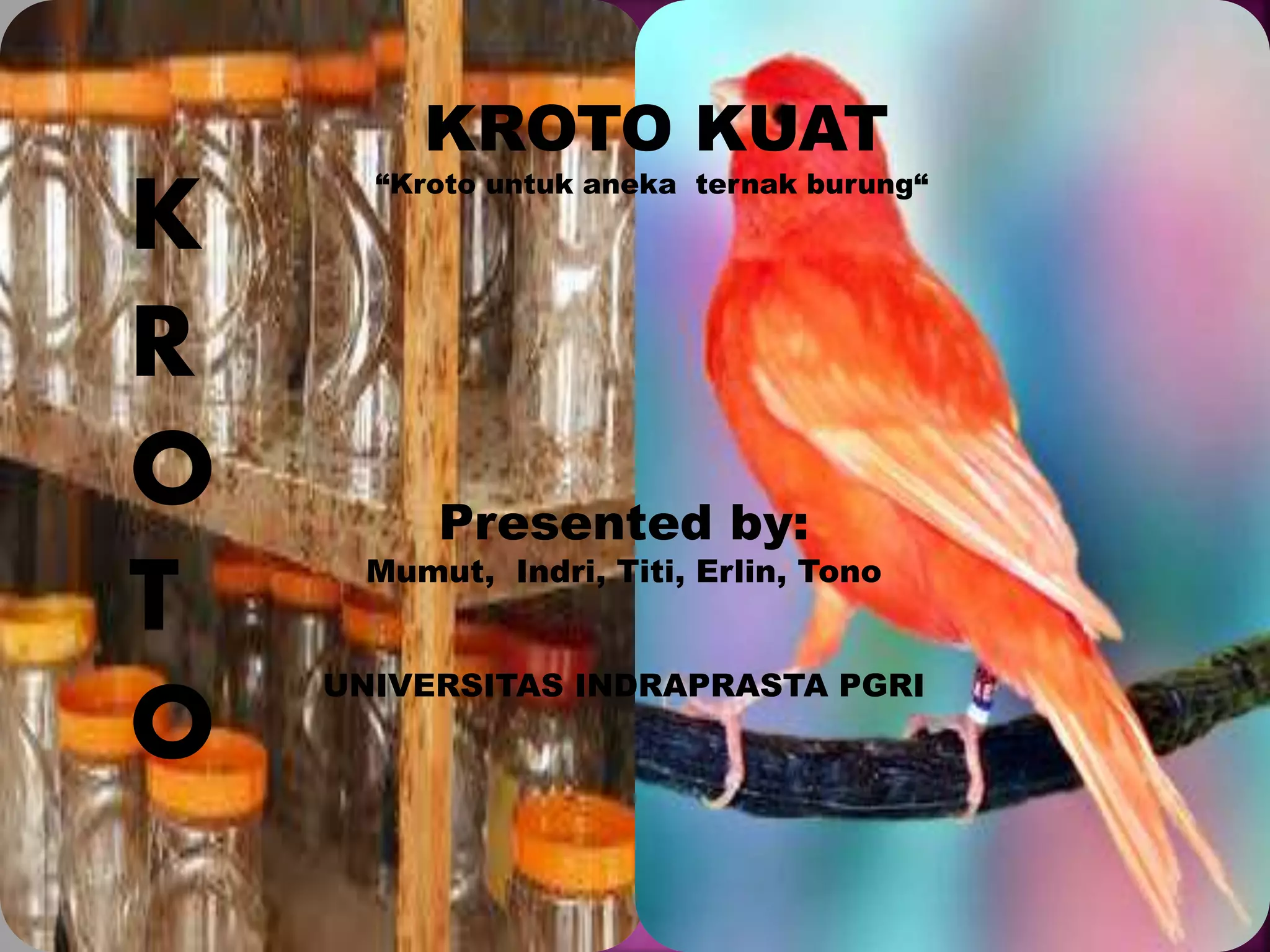 Bussiness plan dan bisnis model kanvas usaha kroto - UNIVERSITAS ...