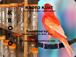 Bussiness plan kroto | PPTX