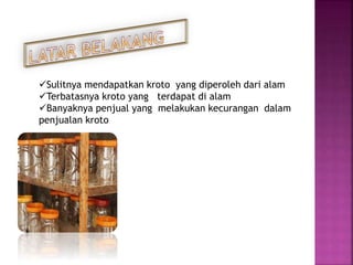 Bussiness plan kroto | PPTX