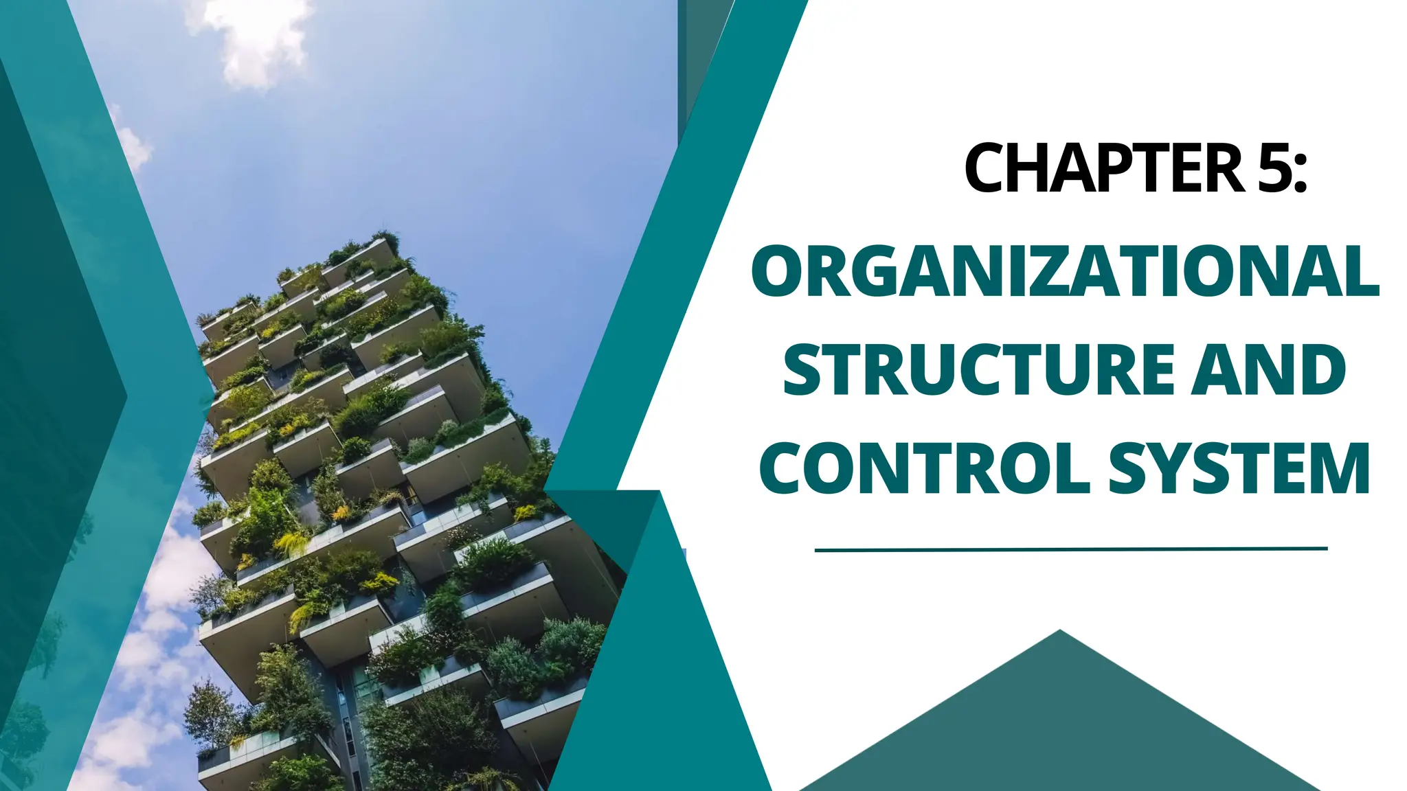 ORGANIZATIONAL STRUCTURE AND CONTROL SYSTEM | PPTX | Large Business ...