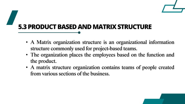 ORGANIZATIONAL STRUCTURE AND CONTROL SYSTEM | PPTX | Large Business ...