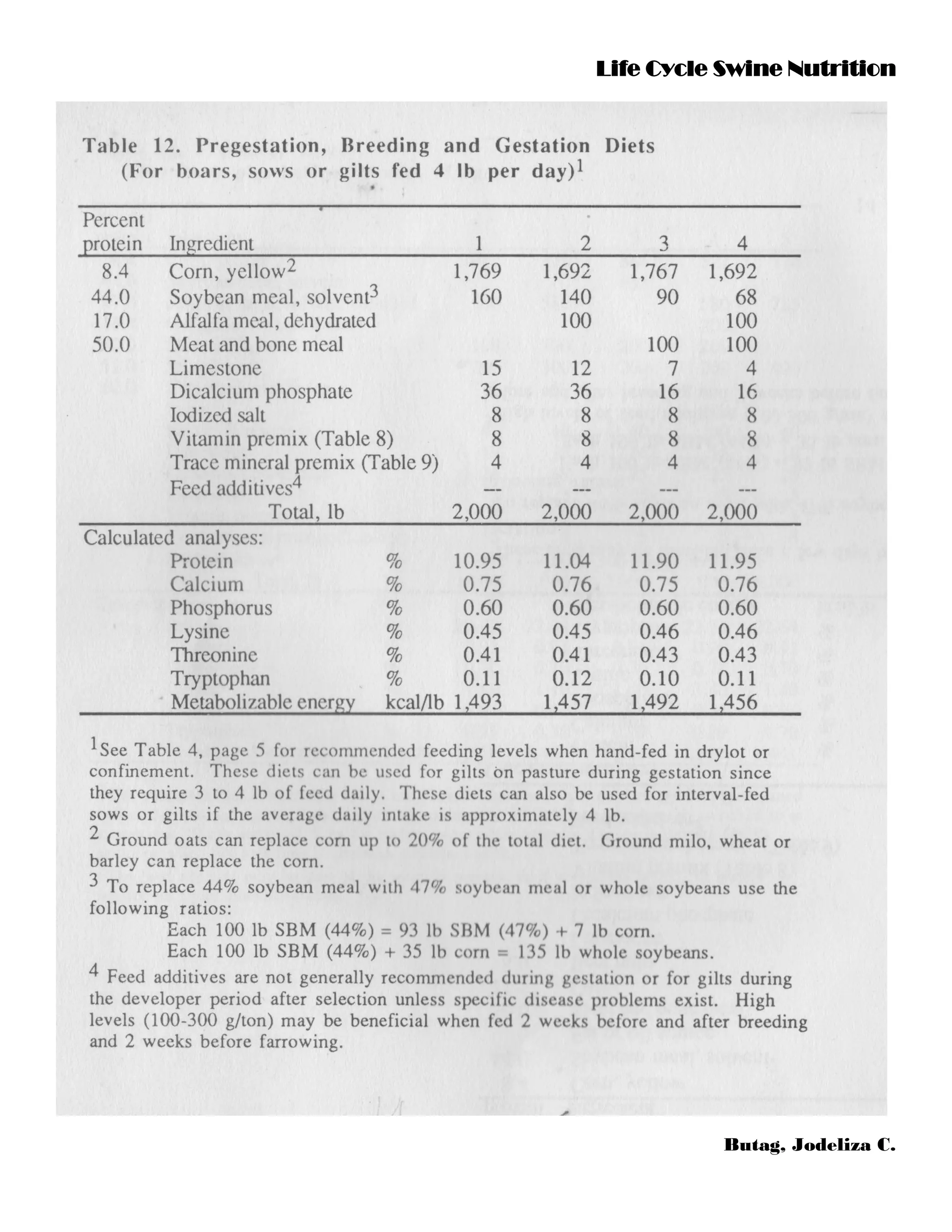 Life Cycle Swine Nutrition | PDF