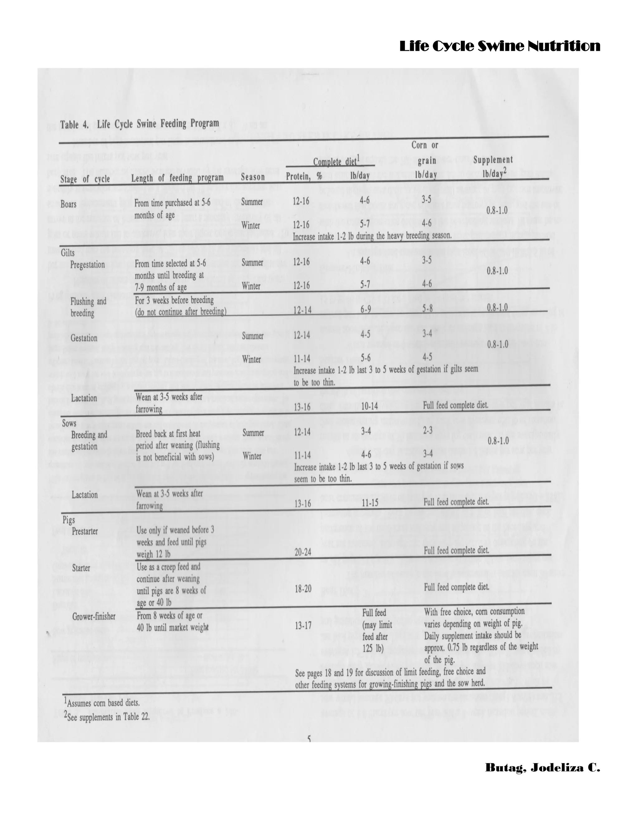 Life Cycle Swine Nutrition | PDF