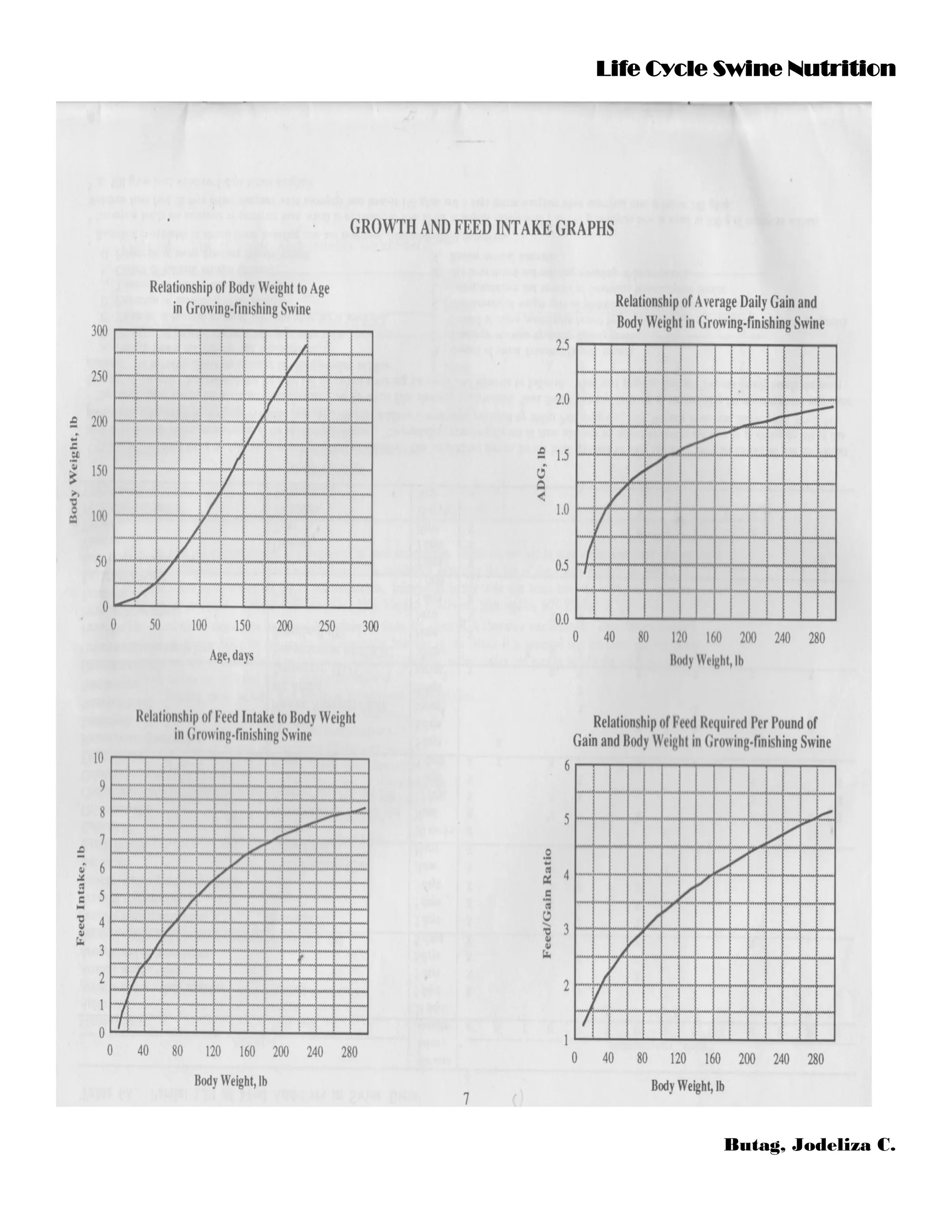 Life Cycle Swine Nutrition | PDF