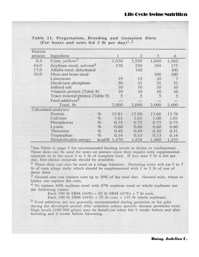 Life Cycle Swine Nutrition | PDF | Nutrition | Healthy Living