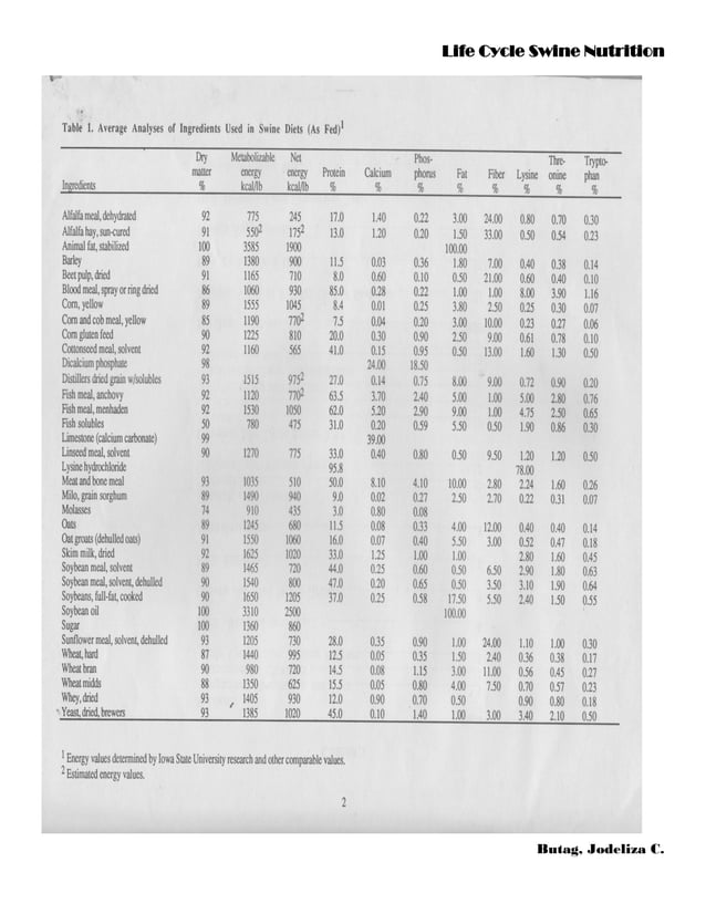 Life Cycle Swine Nutrition | PDF | Nutrition | Healthy Living