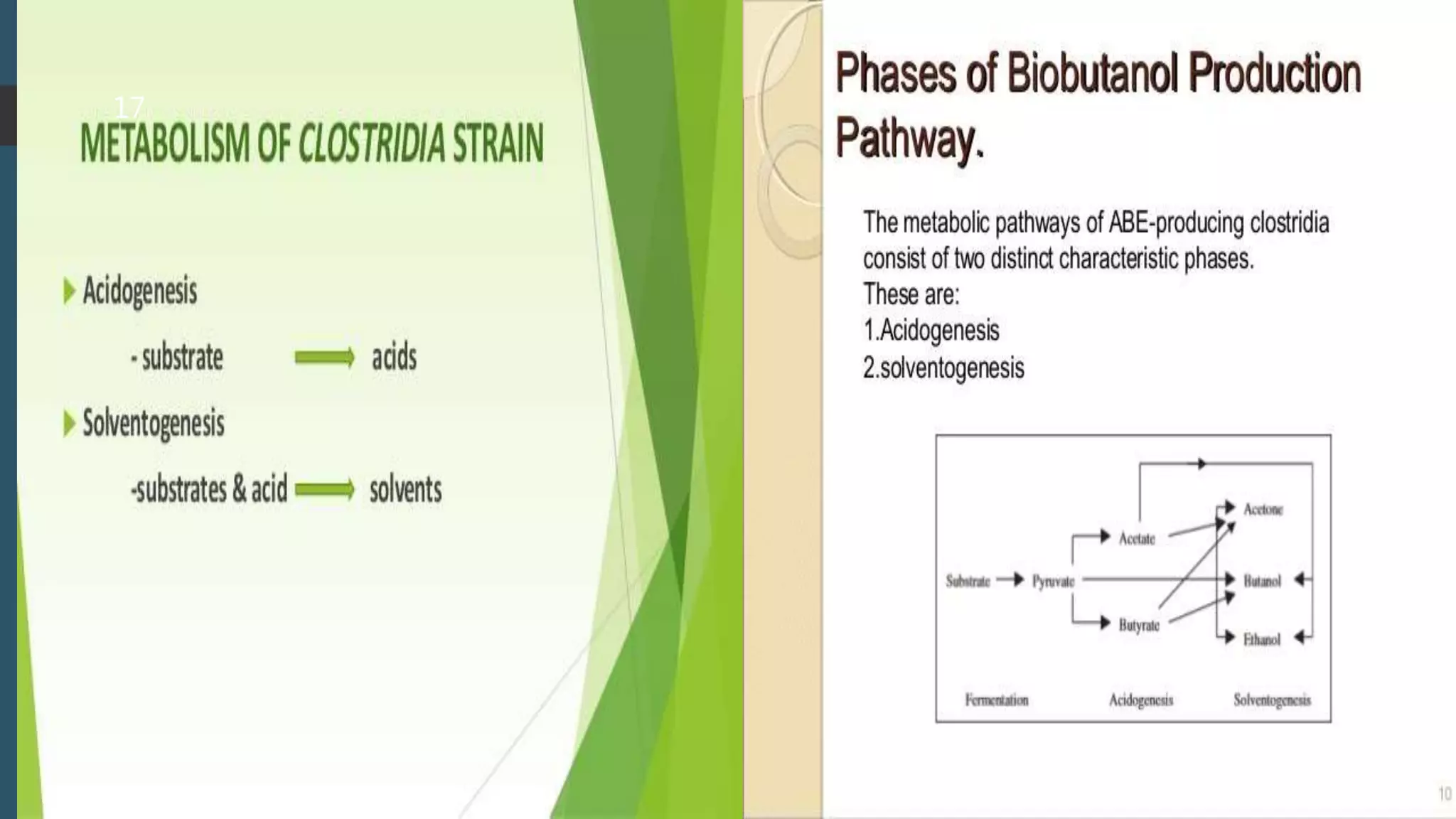 Butanol production | PPTX