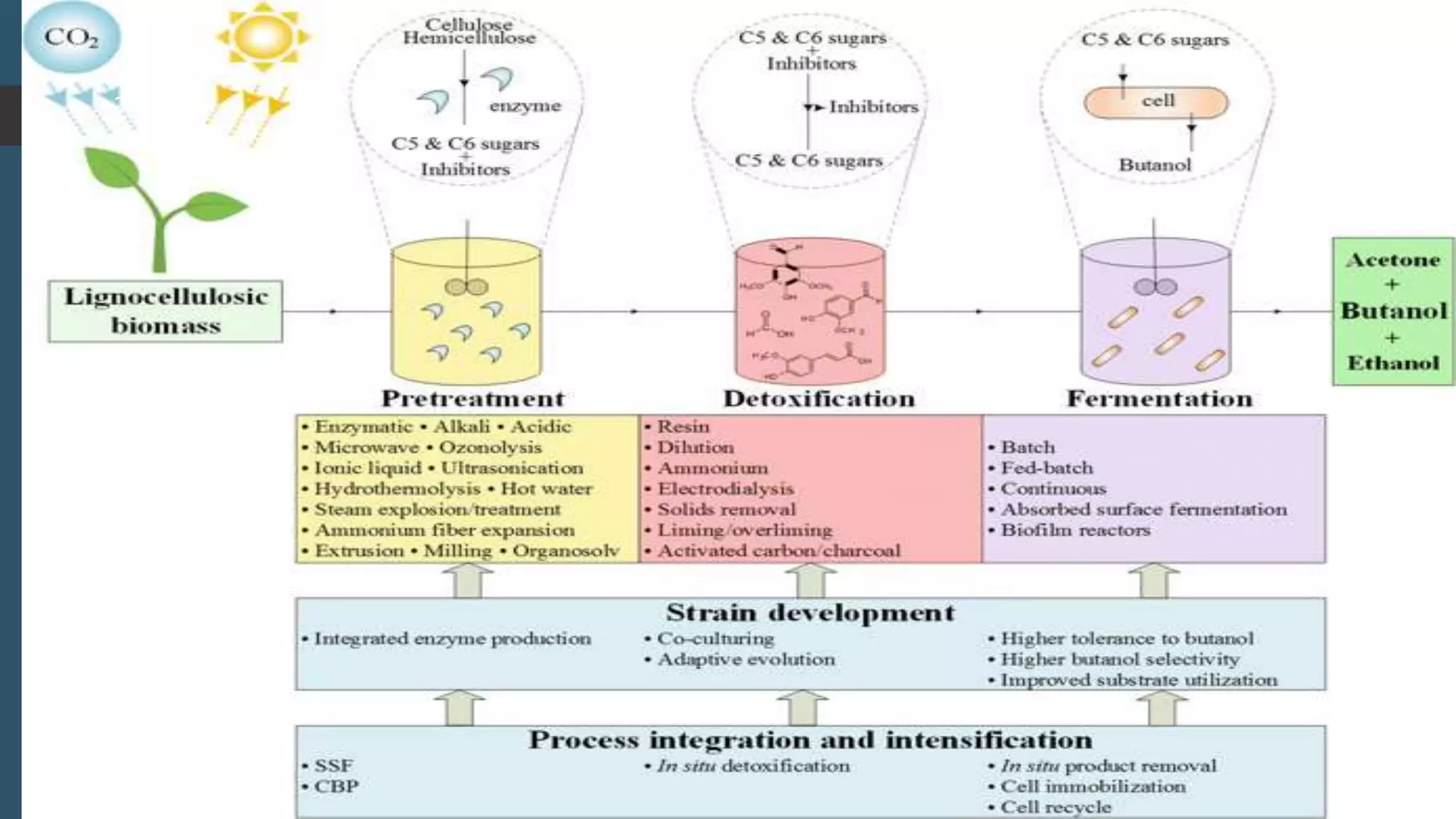 Butanol production | PPTX