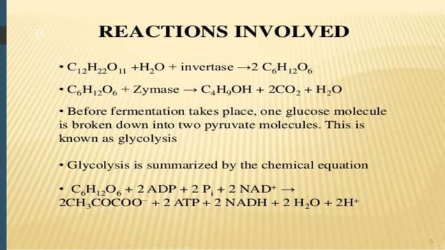 Butanol production | PPTX