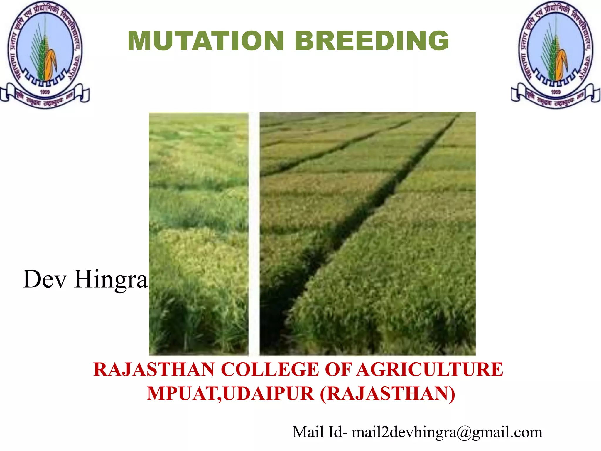 Mutation breeding | PPTX