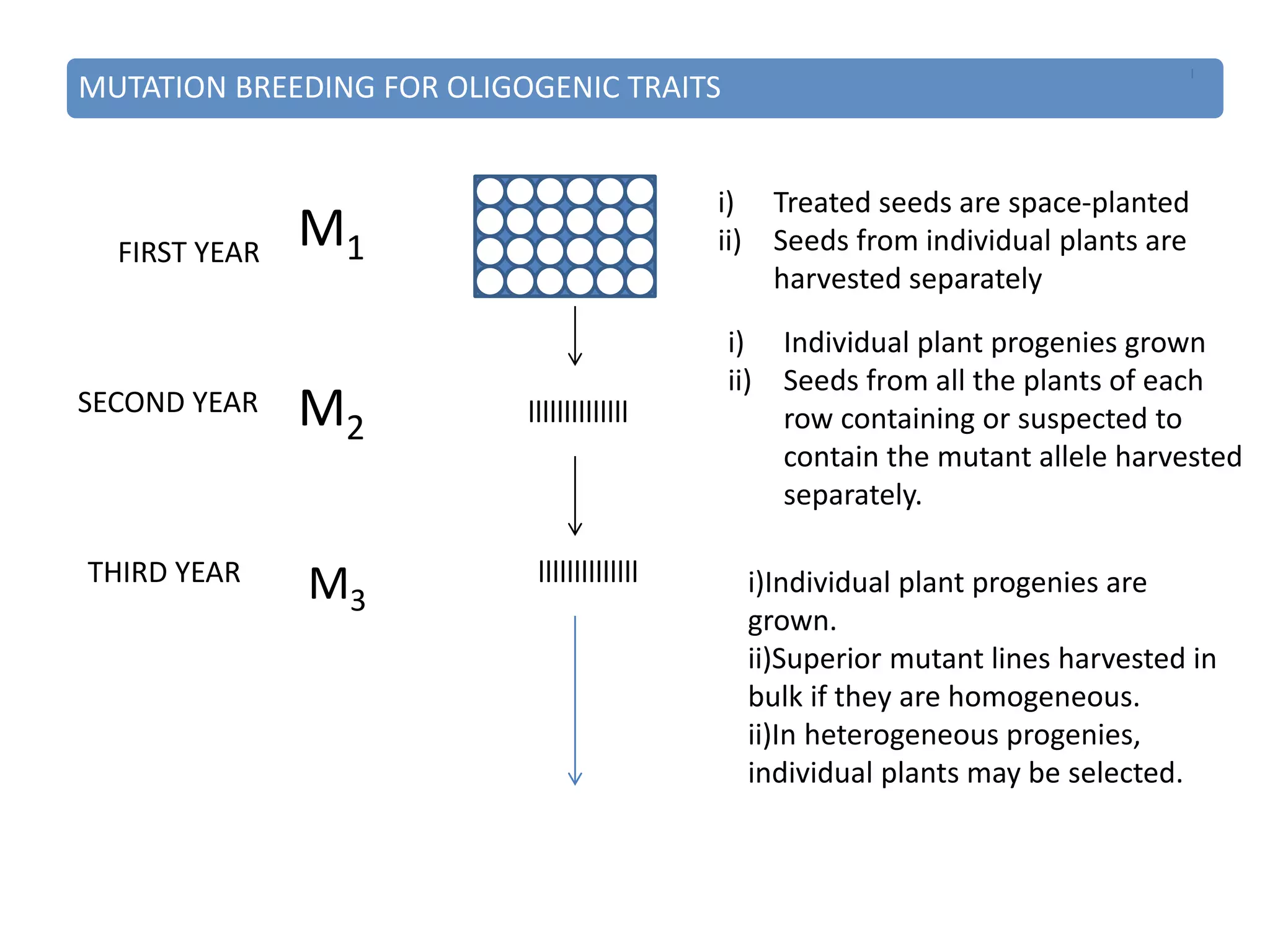 Mutation breeding | PPTX
