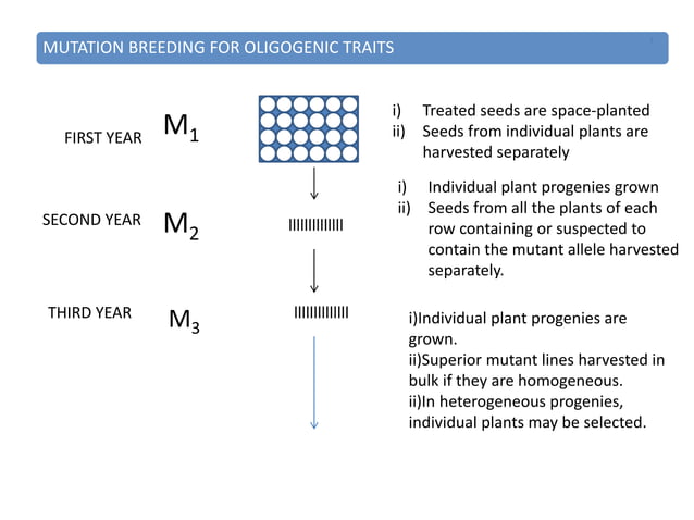 Mutation breeding | PPTX | Agriculture | Industries