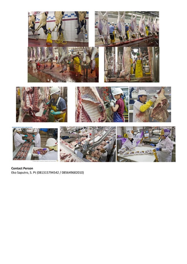 Butchery training | PDF