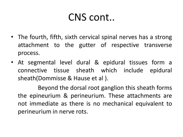 neural mobilization | PPTX
