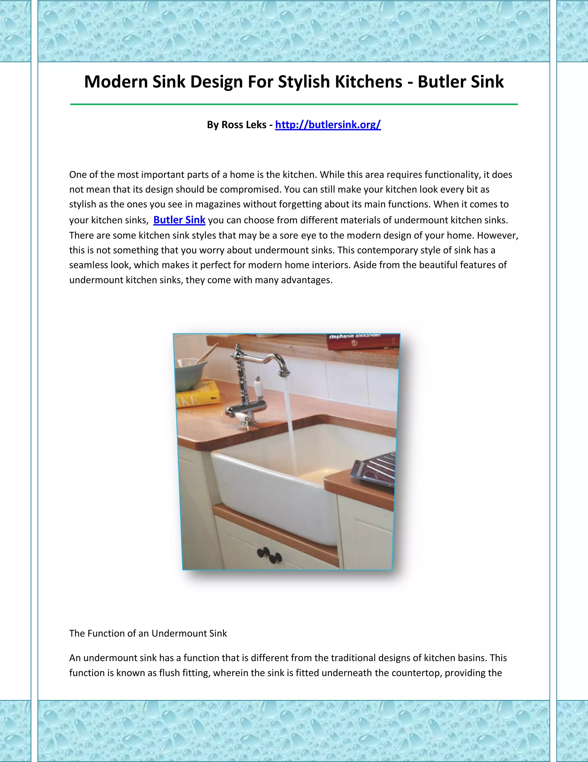 Butler sink | PDF