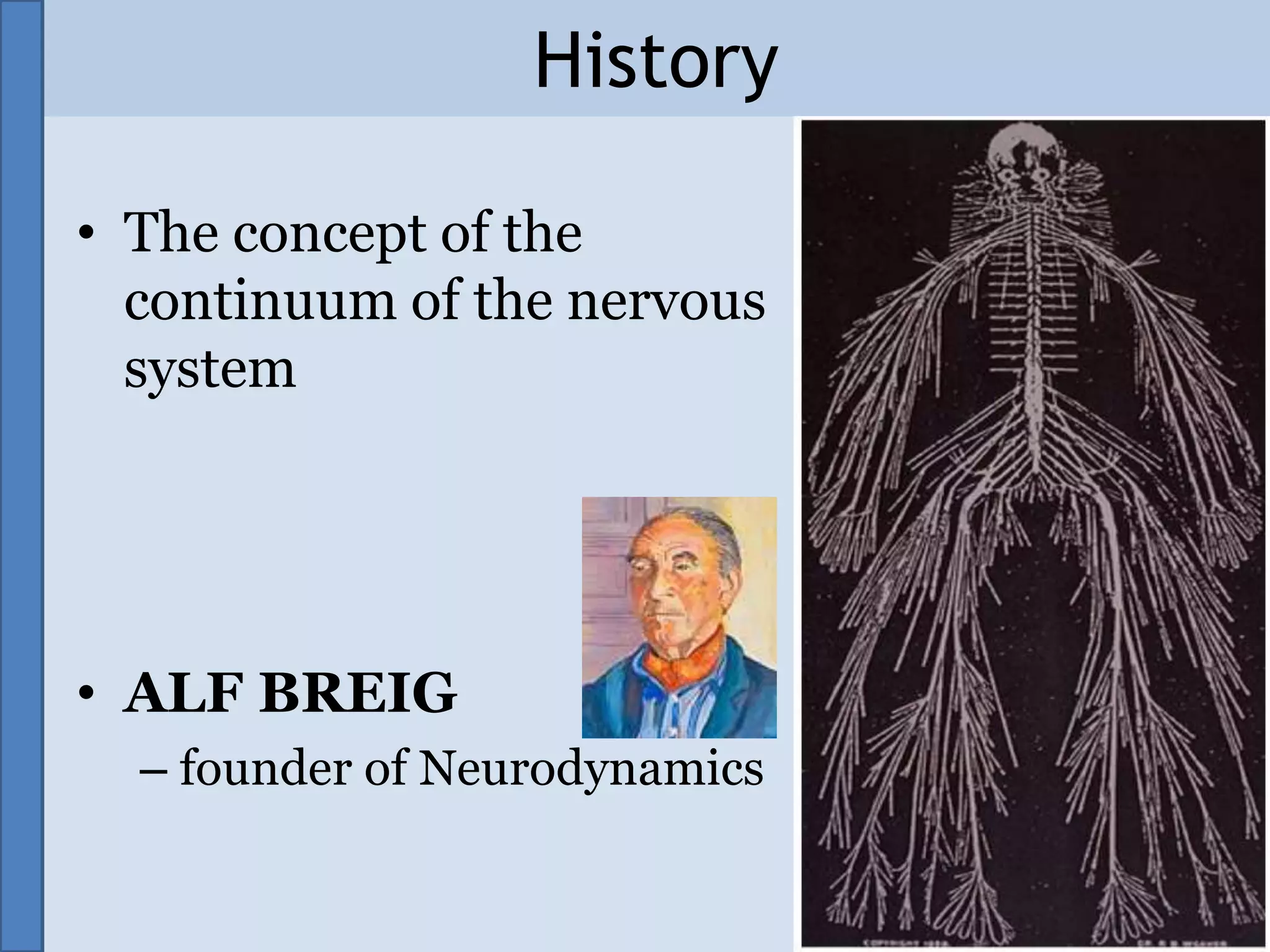 Neurodynamics, mobilization of nervous system, neural mobilization | PPTX