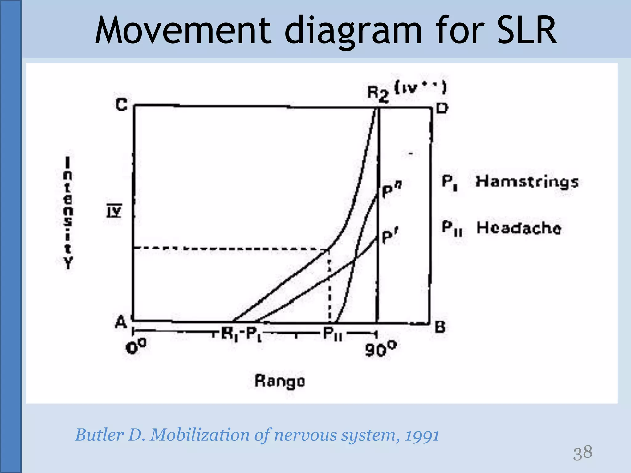 Neurodynamics, mobilization of nervous system, neural mobilization | PPTX