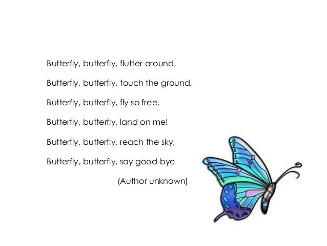 Butterflies