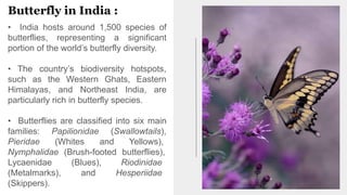 Butterflies of india and prayagraj region | PDF