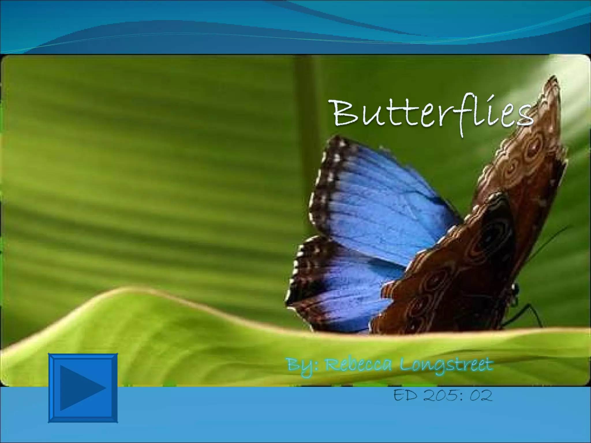 Butterflies Interactive Powerpoint | PPT