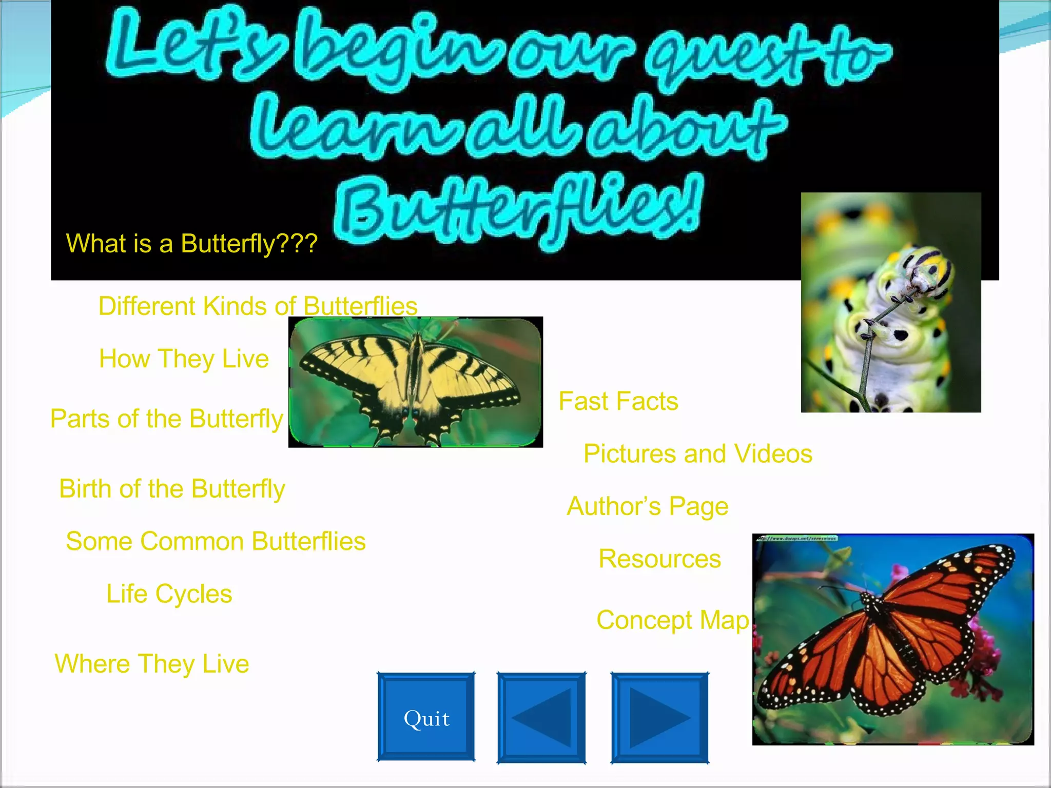Butterflies Interactive Powerpoint | PPT