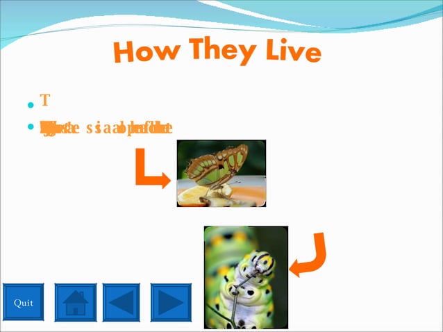 Butterflies Interactive Powerpoint | PPT