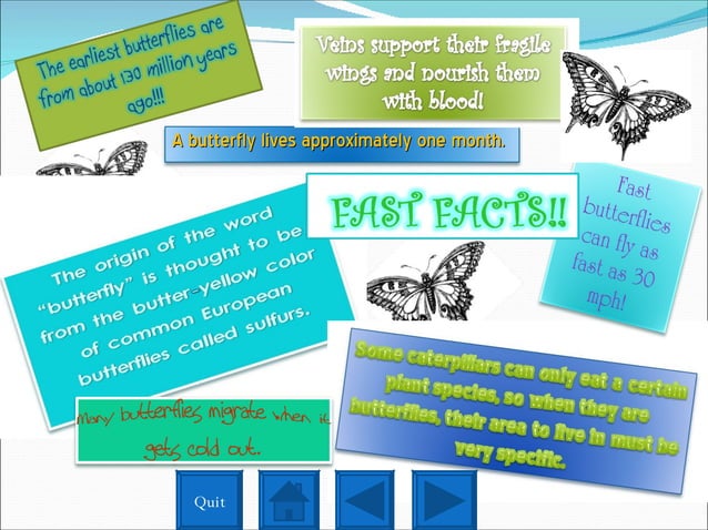 Butterflies Interactive Powerpoint | PPT